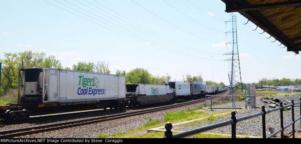 TTRX 360443 with Tiger Cool Express Container