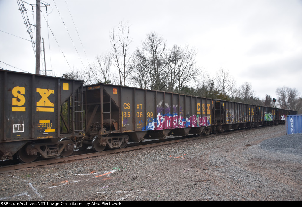 CSX 350699