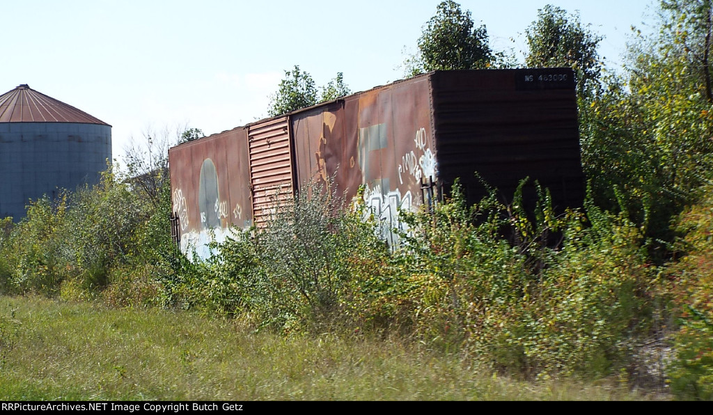 Been hiding in the weeds for some time...