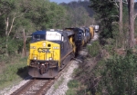 Pictures of CSX 445