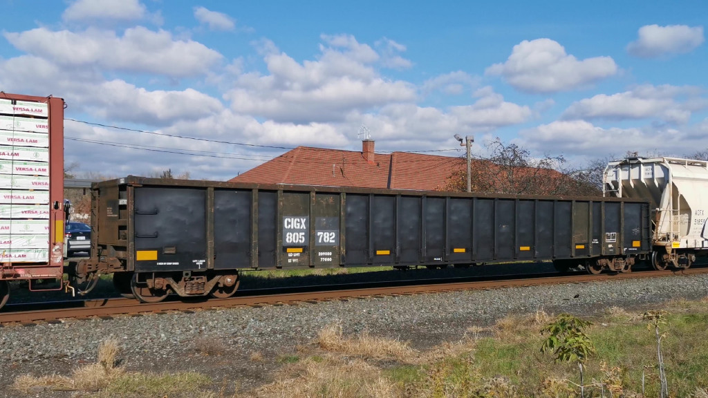 CIGX 805782