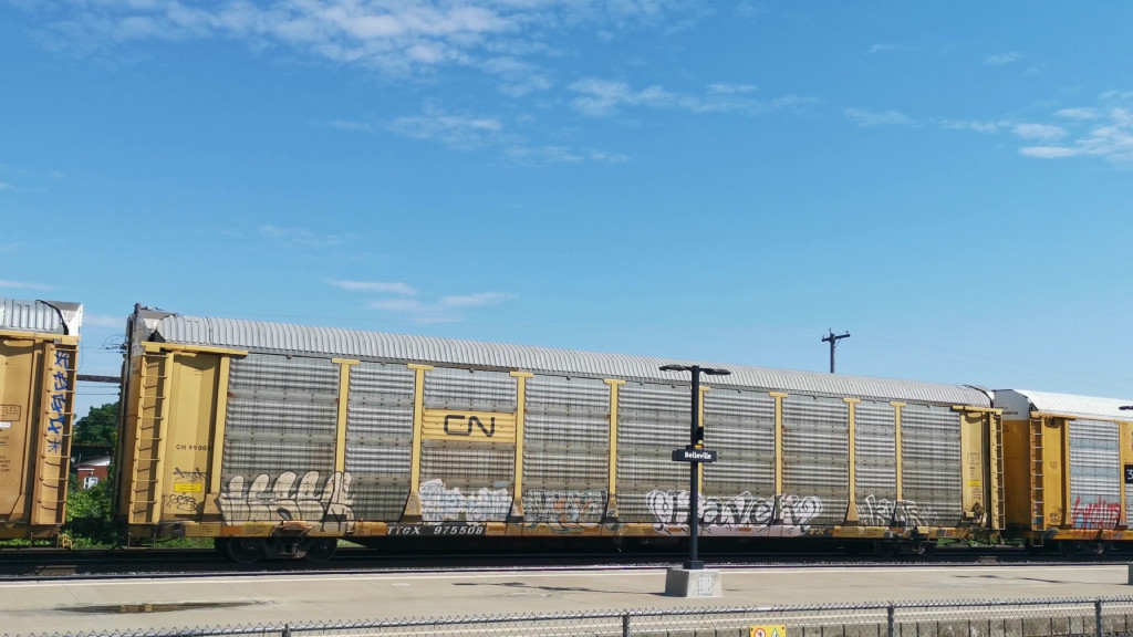 CN 99005 (Body) TTGX 975508 (Flat)