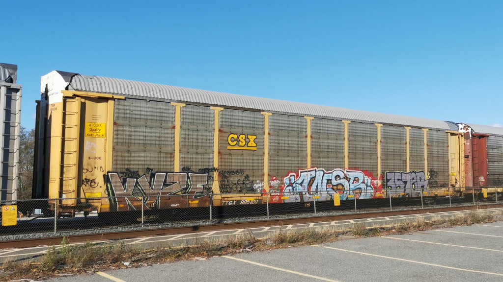 CSX B1300 (Body) TTGX 995120 (Flat)