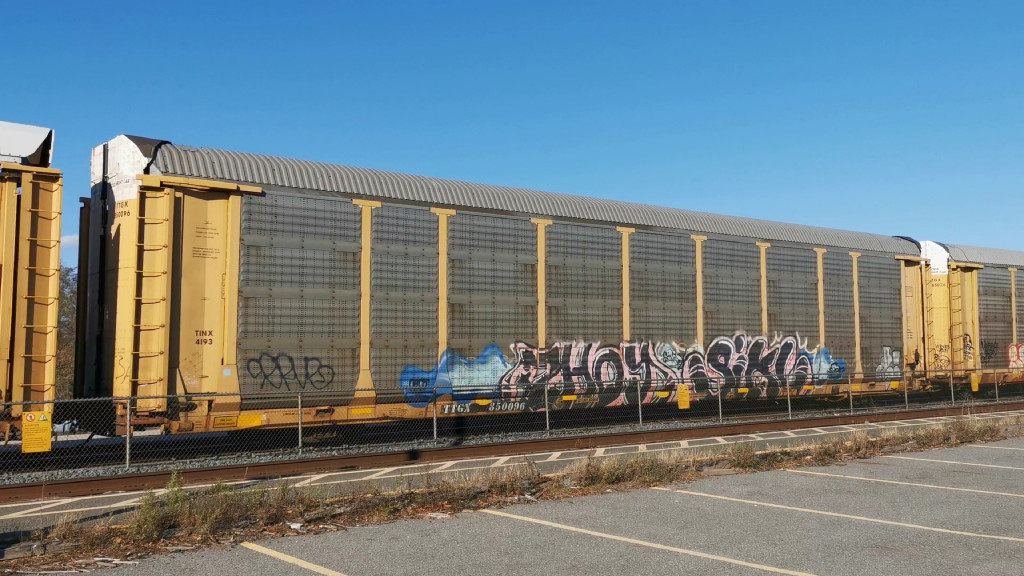 TINX 4193 (Body) TTGX 850096 (Flat)