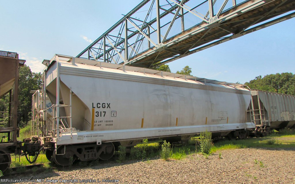 LCGX 317