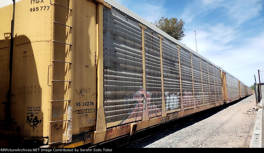 NS 24276 TTGX 985777