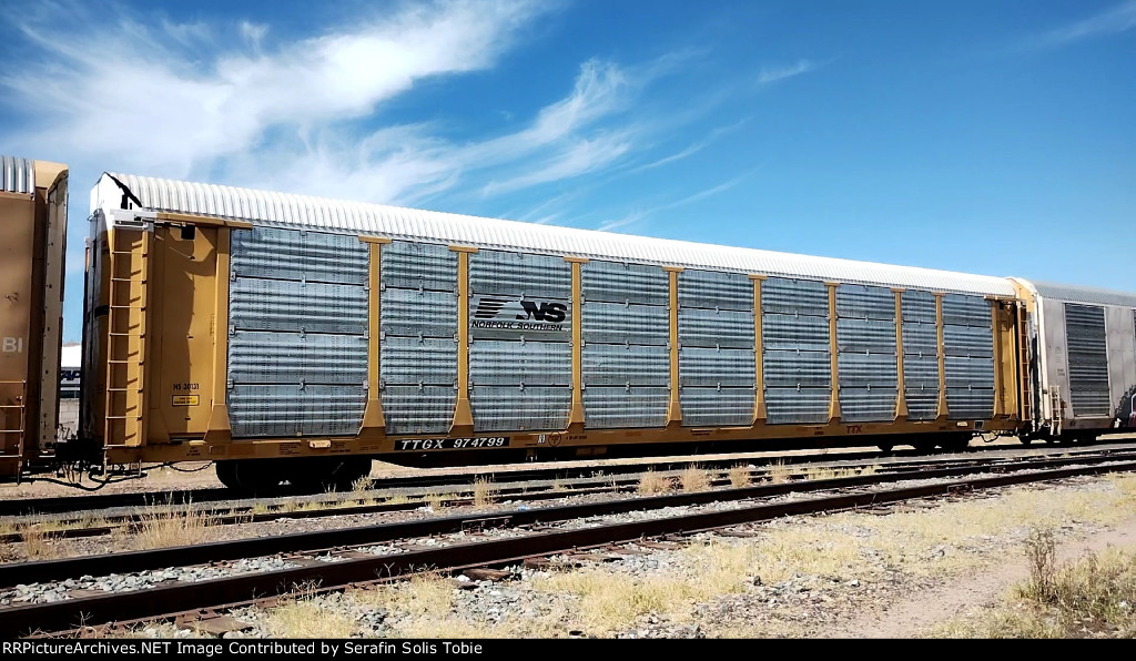 NS 30131 TTGX 974799