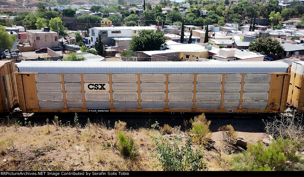CSX B03401 TTGX 980755