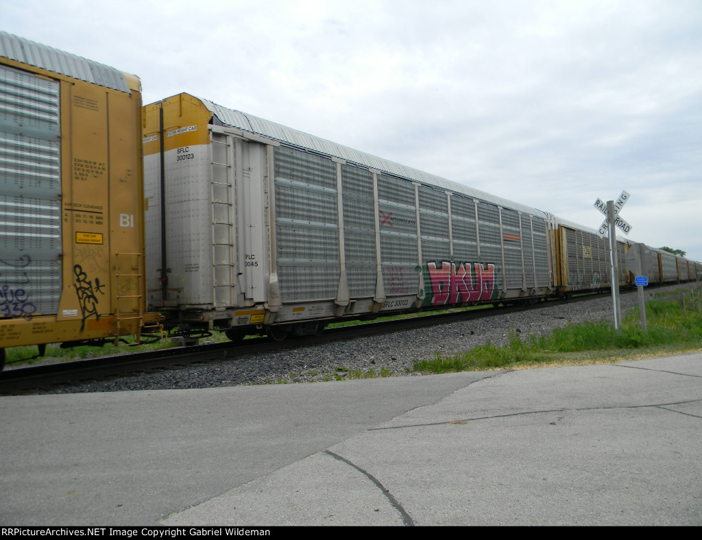 SFLC 300123 is new to RRPA!