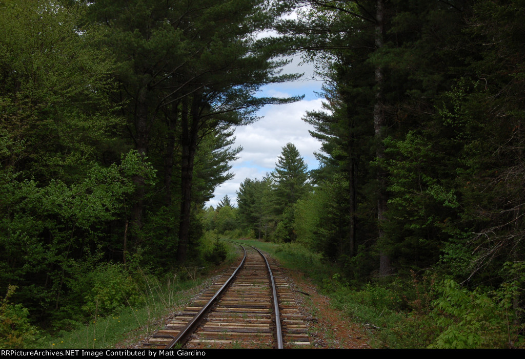 Untitled [www.rrpicturearchives.net]