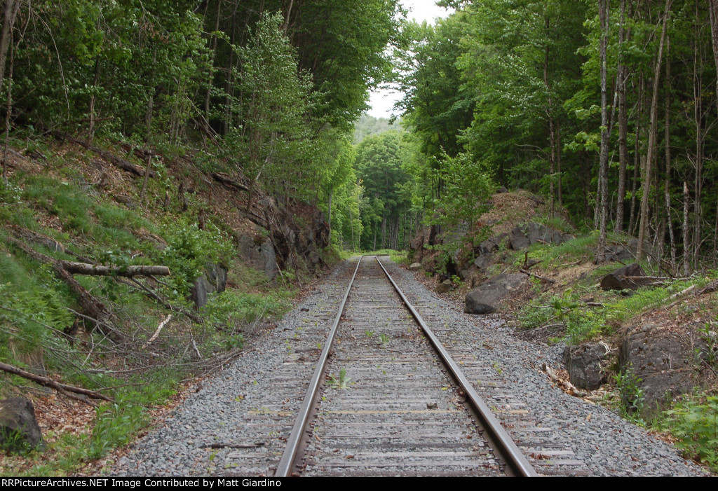 Untitled [www.rrpicturearchives.net]