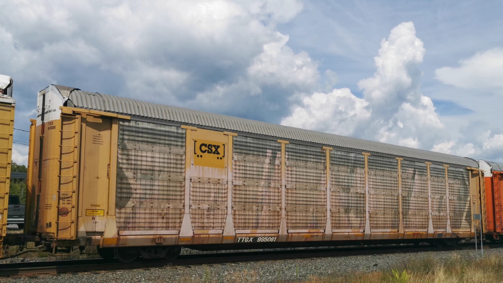 CSX B12460 (Body) TTGX 995081 (Flat)