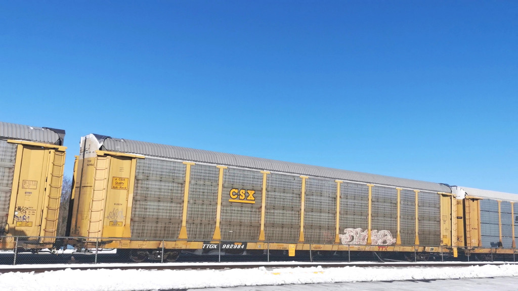 CSX B2224 (Body) TTGX 982984 (Flat)