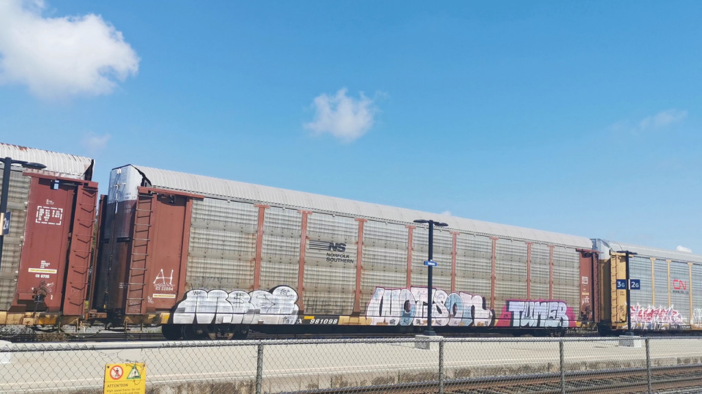 NS 22884 (Body) TTGX 981098 (Flat)