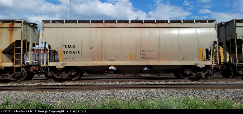 TCMX 309615
