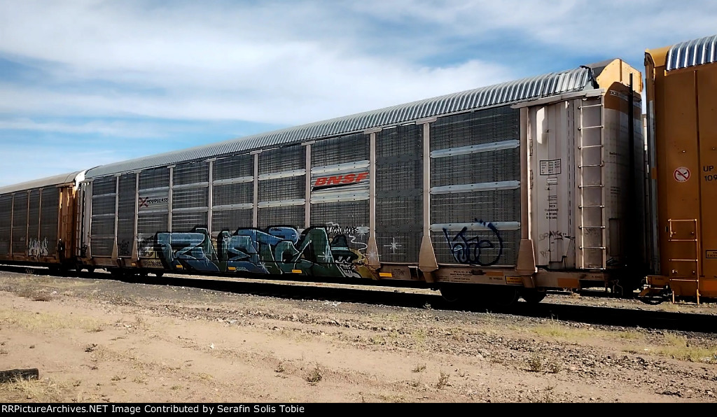 SFLC 20010 SFLC 300053