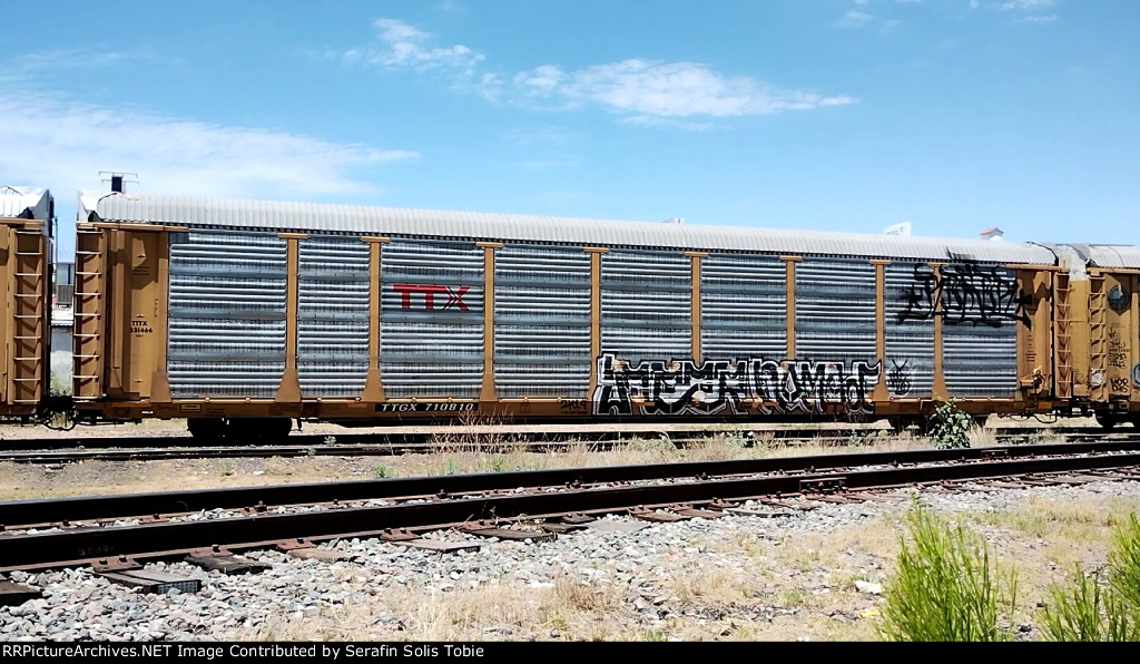 TTTX 331466 TTGX 710810