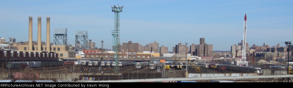 Overview of 207 Street Yard