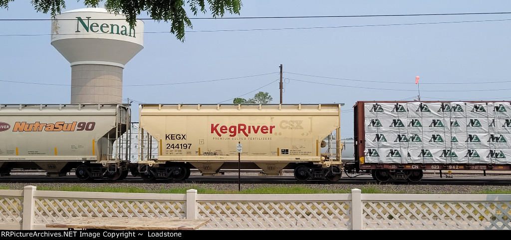 KEGX 244197