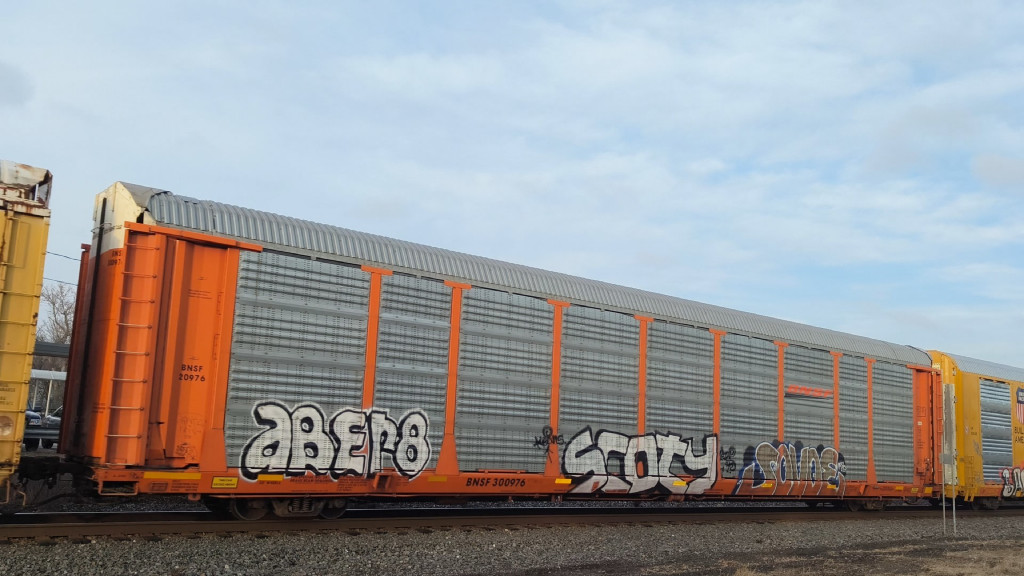 BNSF 20976 (Body) BNSF 300976 (Flat)