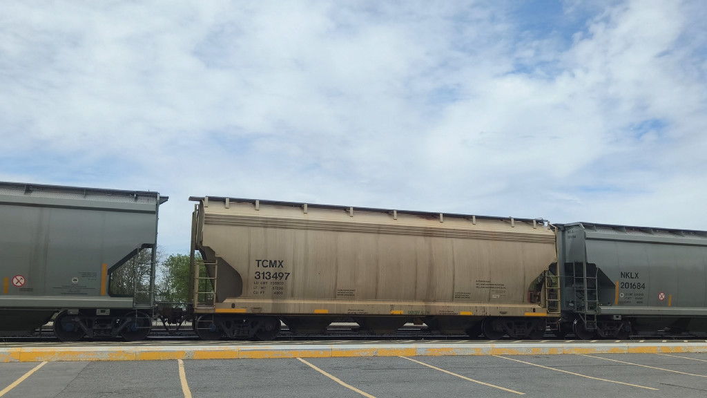 TCMX 313497