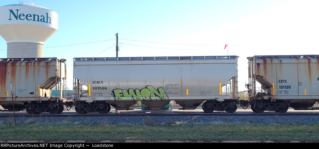 TCMX 309506