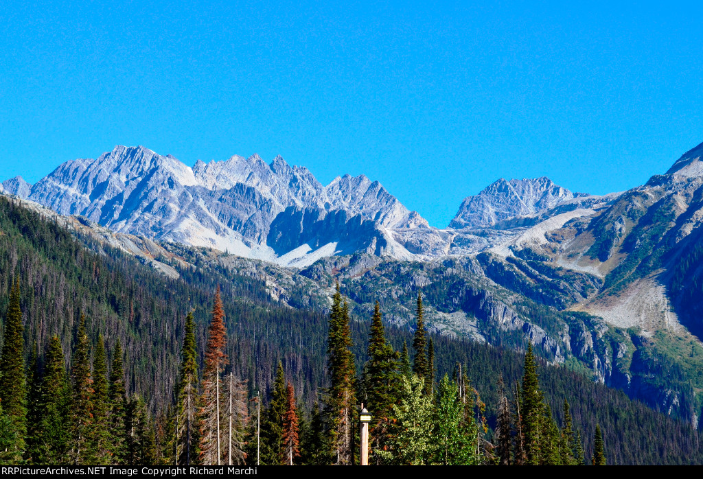 Roger Pass (Illecillewaet Valley) near the west end of Connaught ...