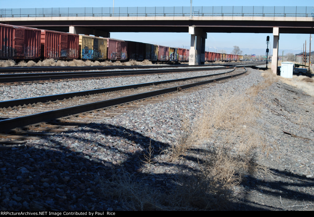 String Of Old Box Cars