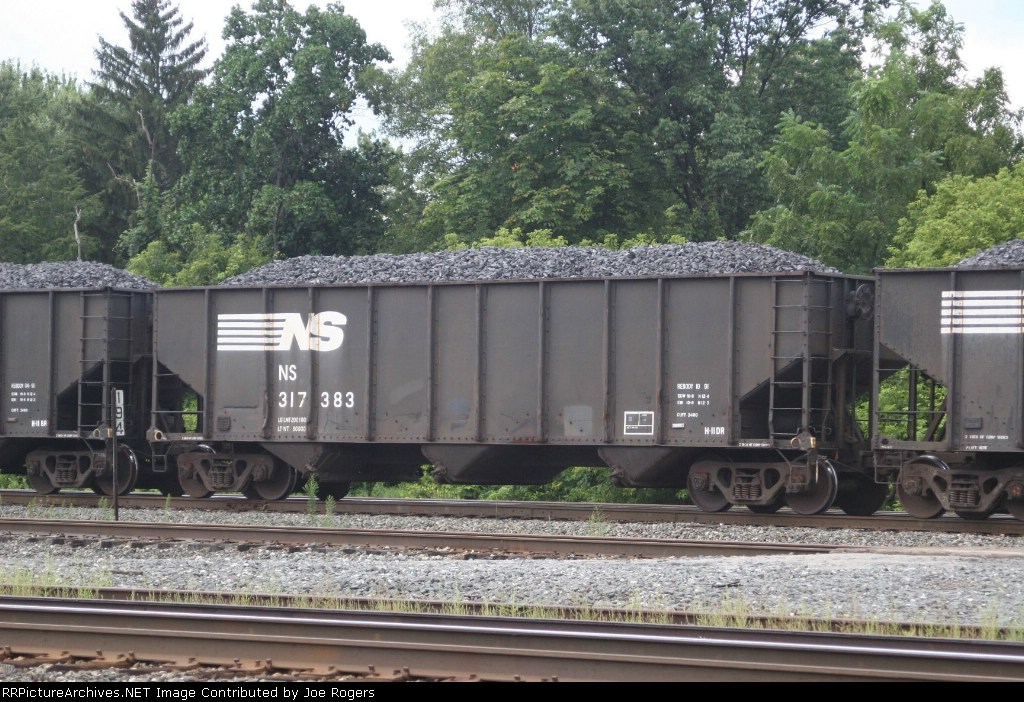 NS 317383
