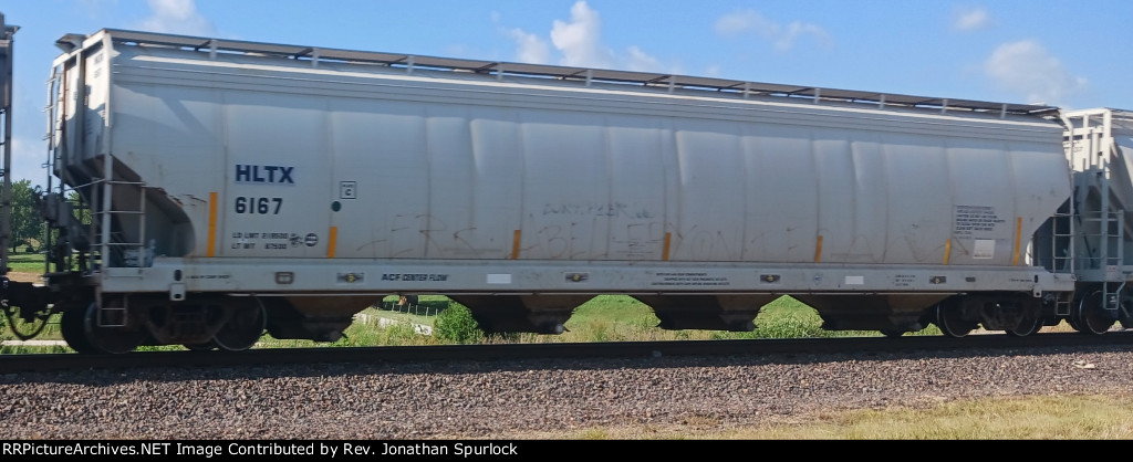 HLTX 6167
