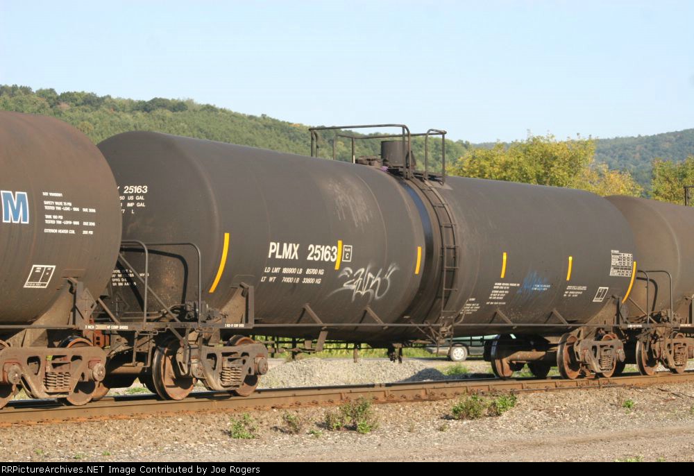 PLMX 25163