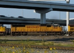 Pictures of UP 4446