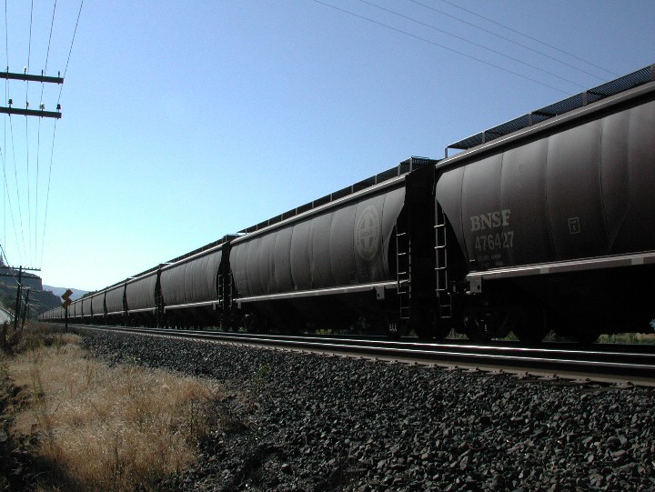 Grain Train