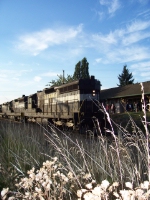 Pictures of POTB 4432