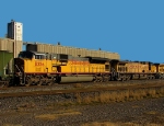 Pictures of UP 8256