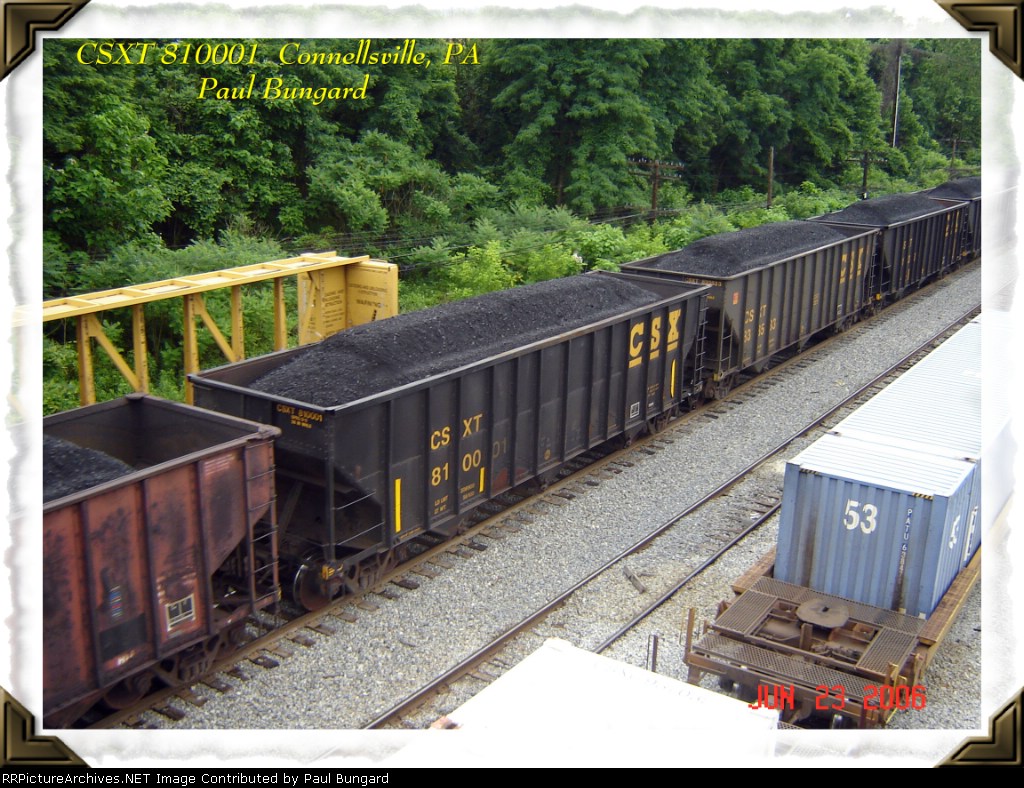 CSX 810001 06/23/2006