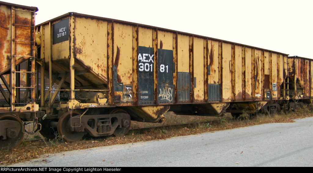 AEX 30181 (ex-ICRX 30181)
