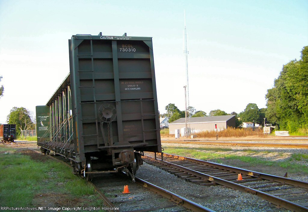 BCOL 730310
