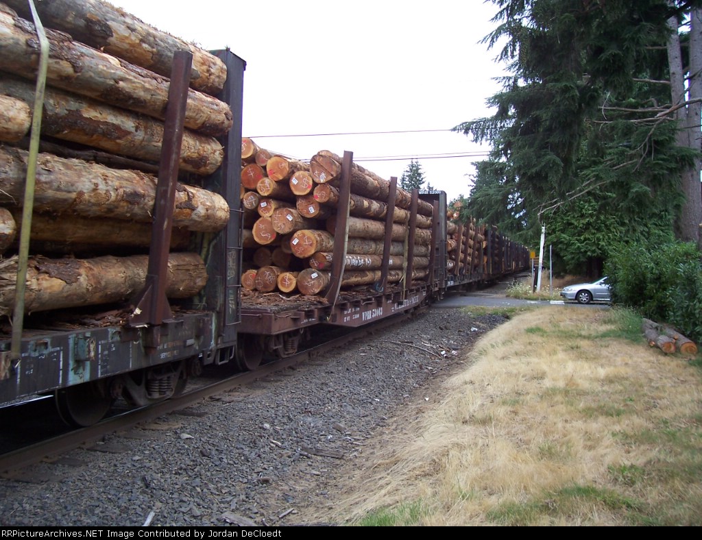 Logs, Logs, Logs