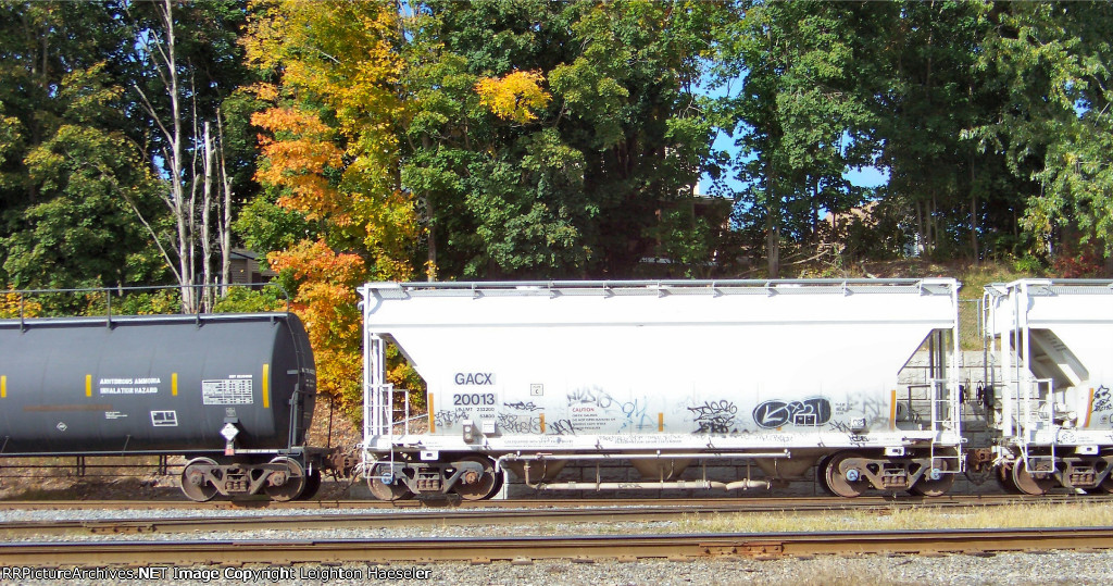 GACX 20013