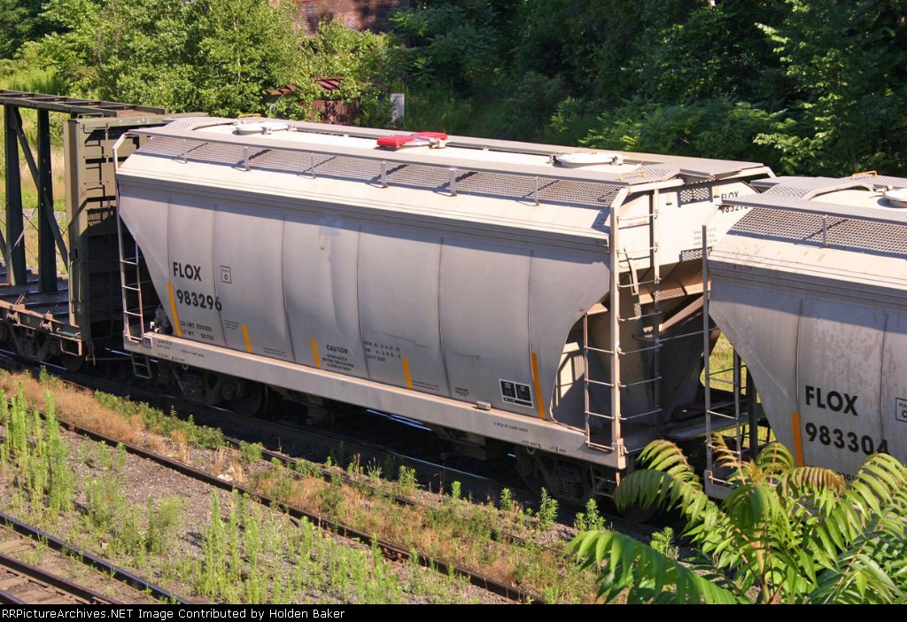 FLOX 983296