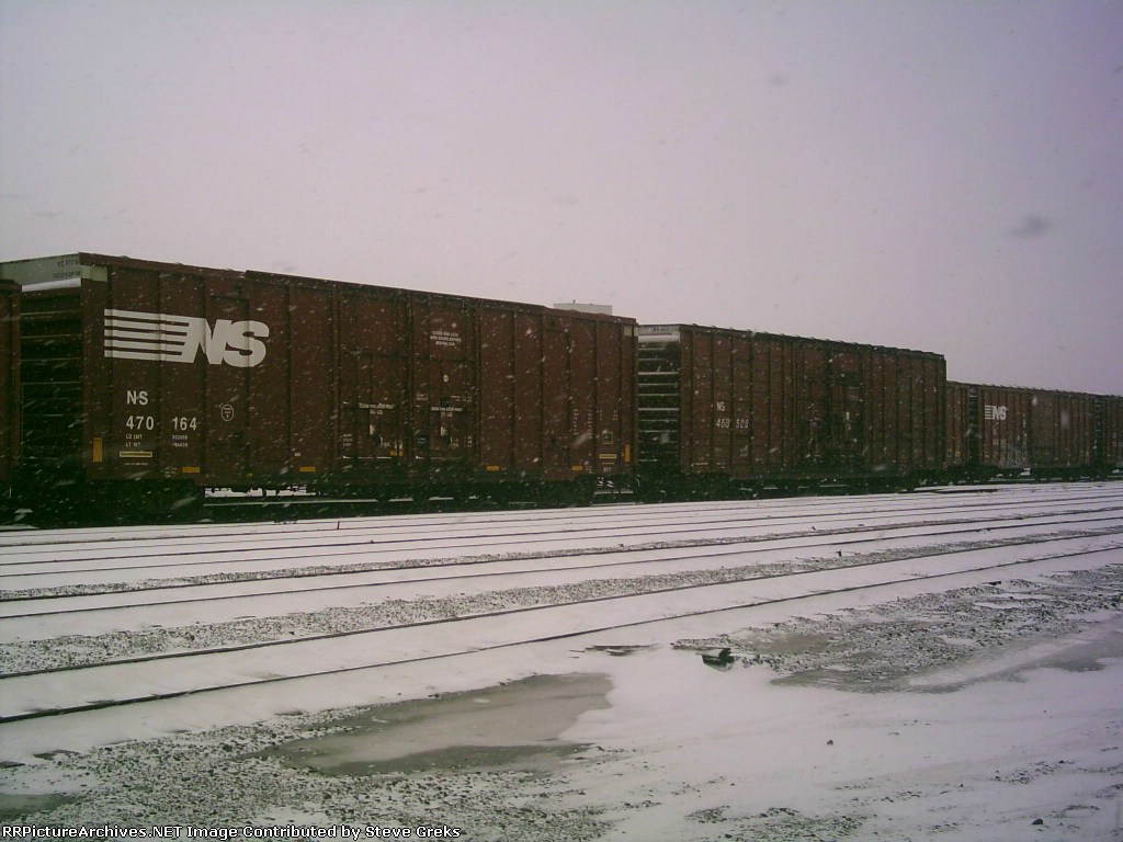 Snow and NS Boxcars