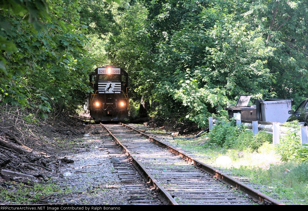 NS 5293, as the WS-2, does some instant landscaping on the seldom used ...