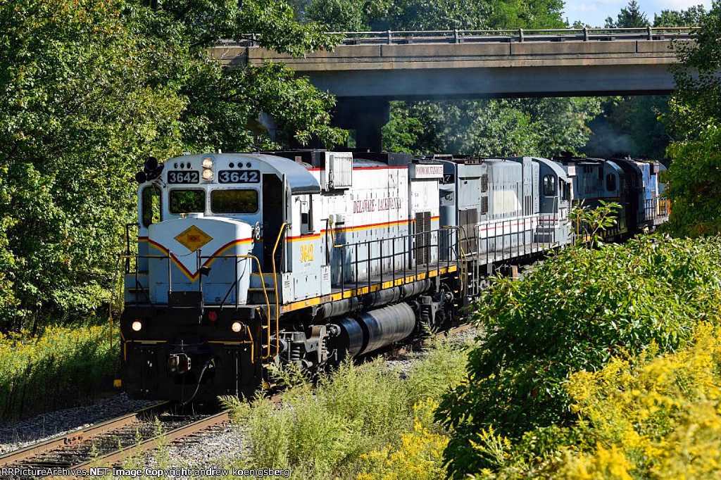 DL 3642