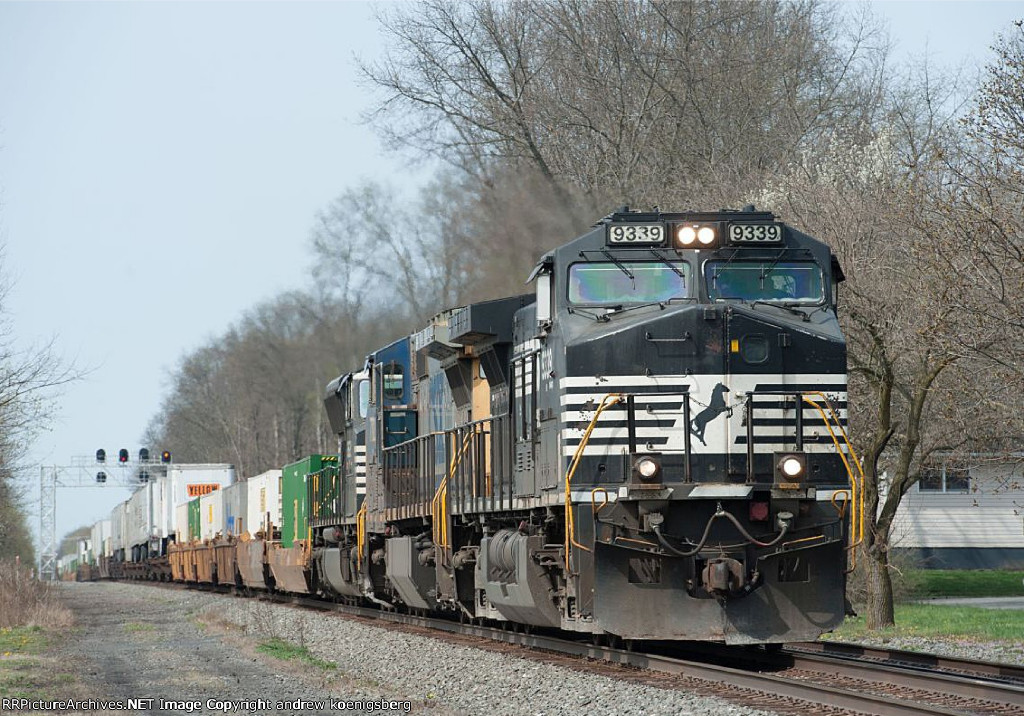 NS 9339