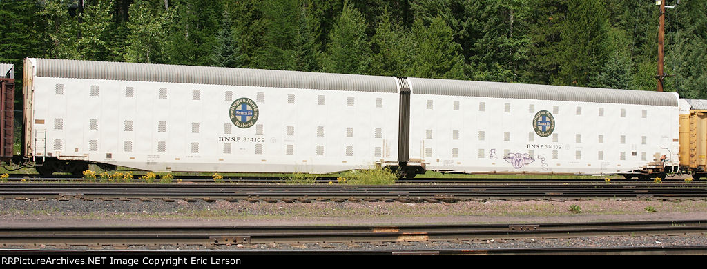 BNSF 314109