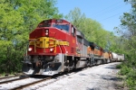 Pictures of BNSF 101