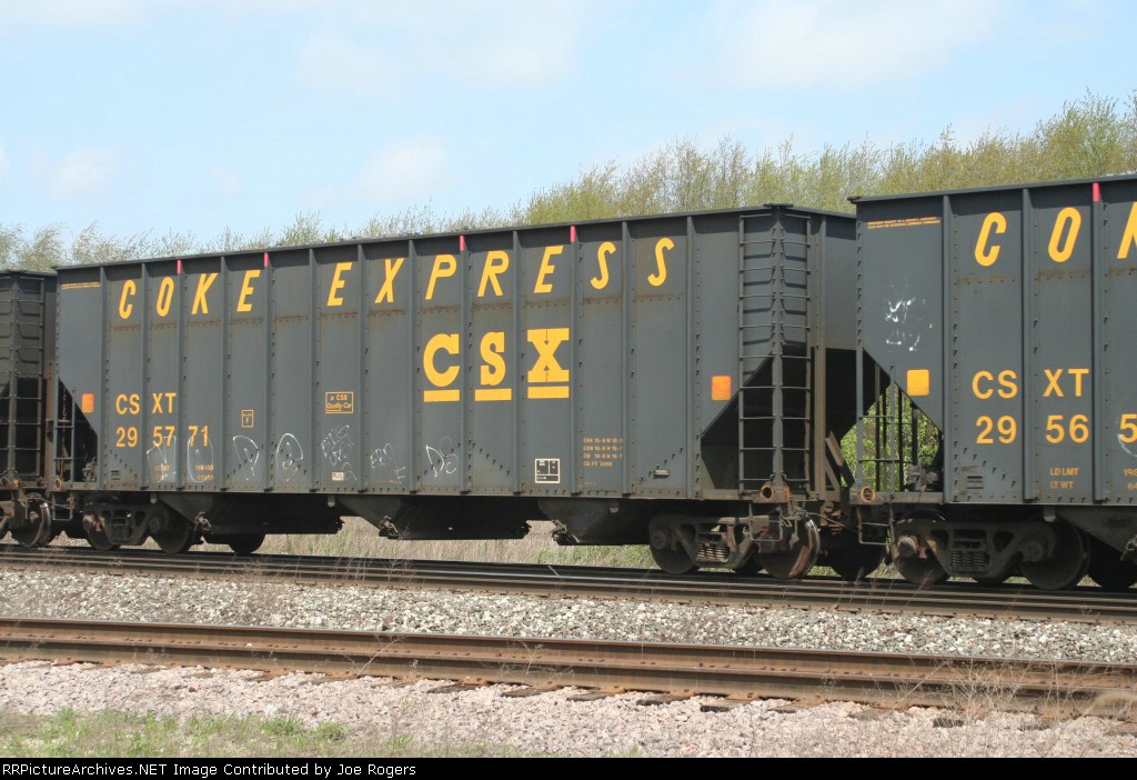 Csx 295771