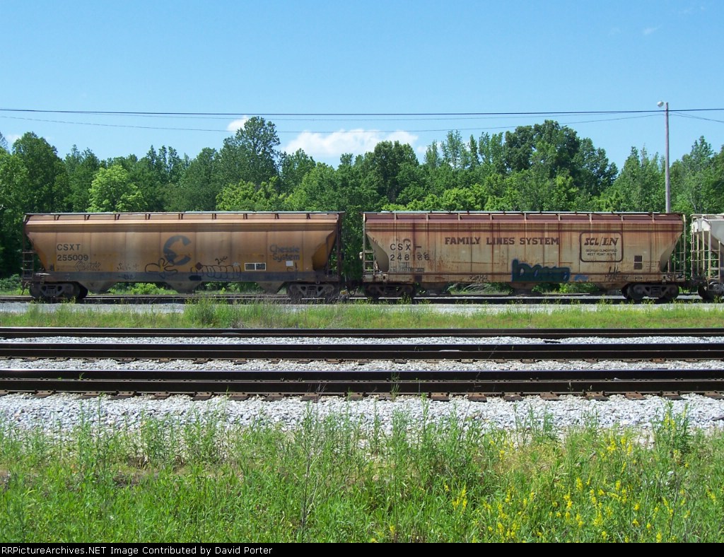 Family lines and Chessie System