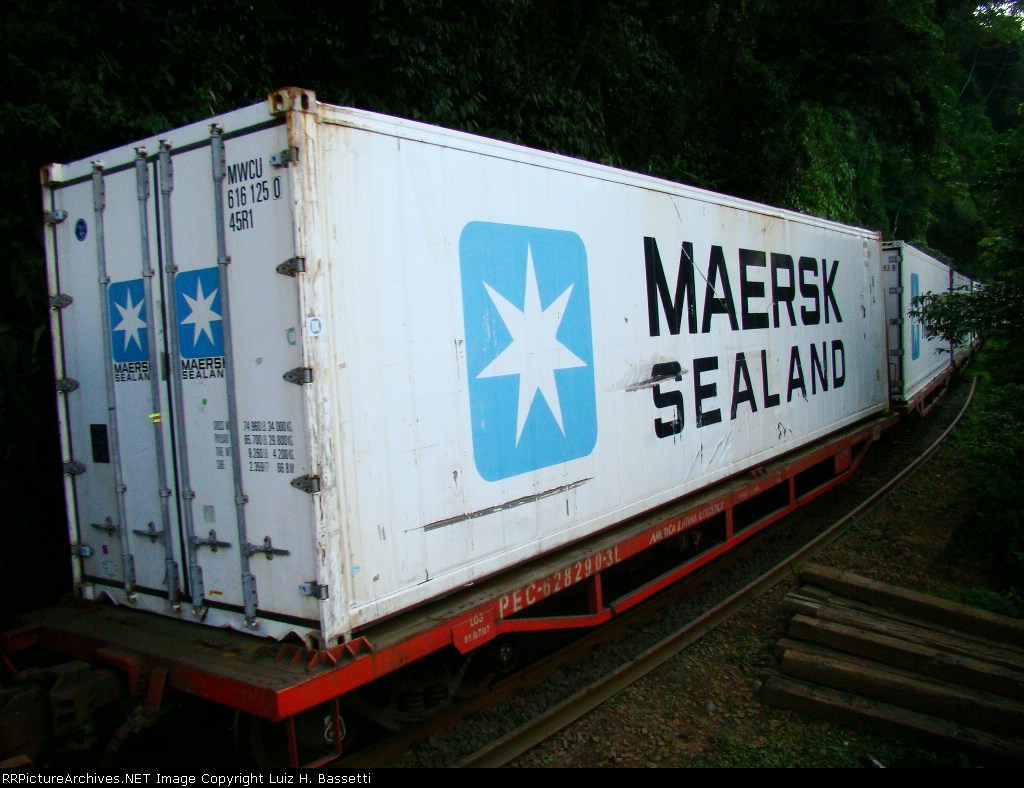 PEC 628290 / MWCU 616125-MAERSK SEALAND